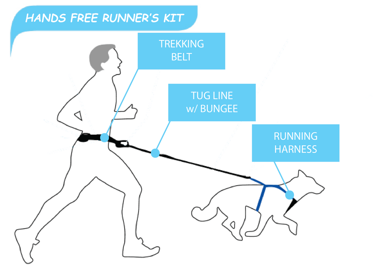 Hands Free Runner's Kit