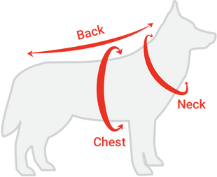 Perfect Fit Harness // Sports X Back Dog Harness // Neewa™