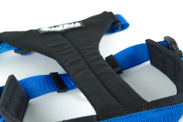 Dog Running & Hiking Harness // Premium Quality // Neewa™