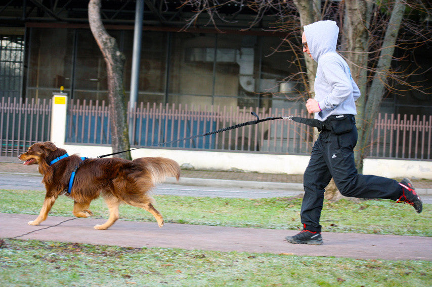 Hands Free Trekking Belt // Dog Running Belt // Neewa™