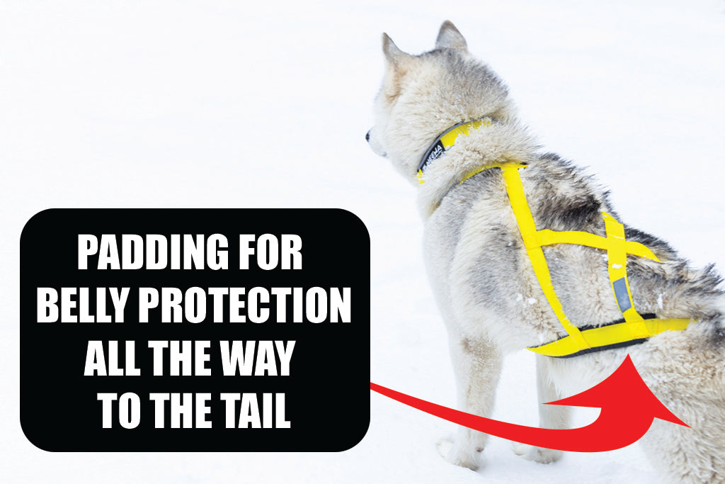 Sled Dog Harness // Ideal for Pulling Sports // Neewa™