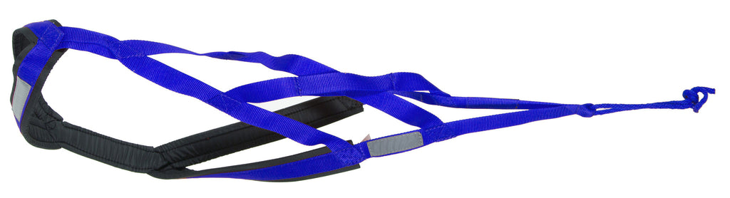 X-Back Racing Harness // Top Dog Racing Harness // Neewa™