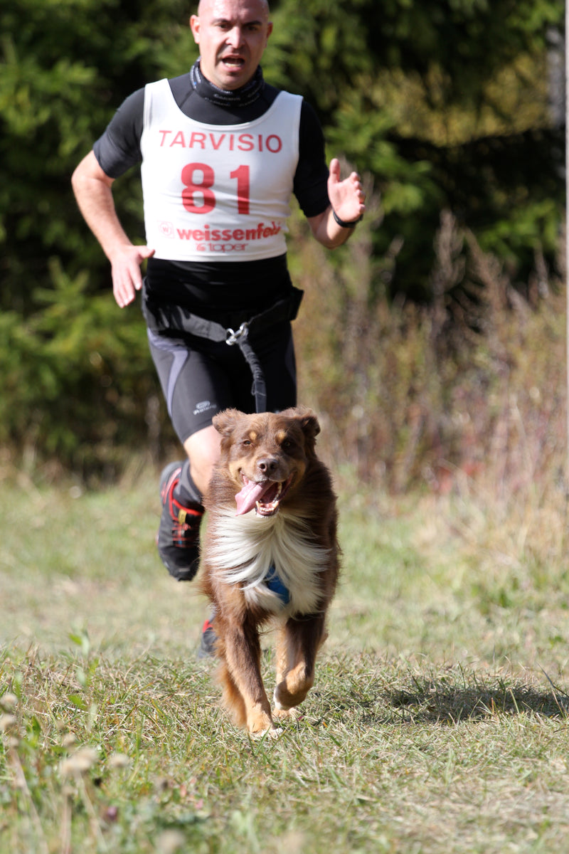 Hands Free Trekking Belt // Dog Running Belt // Neewa™
